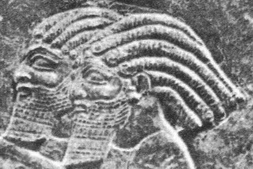 The Ancient Black Hebrews | Prophecy Vine